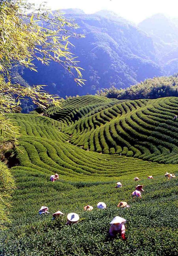 Taiwan, a dragon of traditions - Society of Friends of the Cernuschi Museum