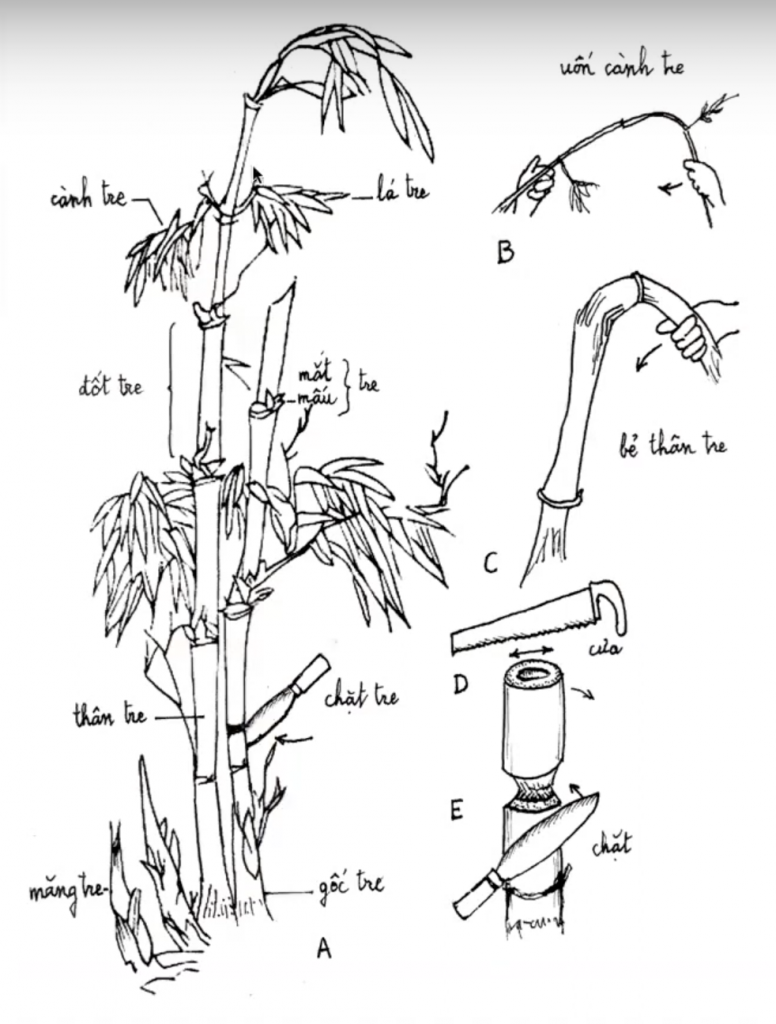 Meeting around the uses of bamboo in Vietnam - Society of Friends of ...