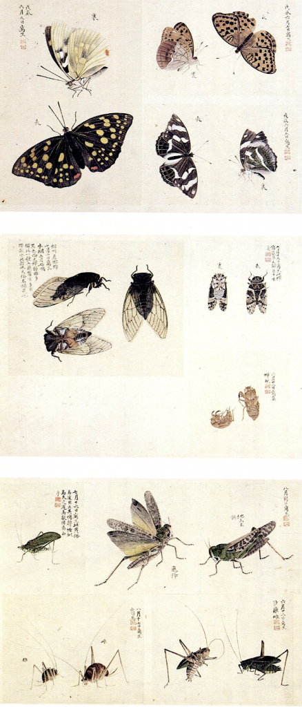 Japanese painting in search of Western realism - Society of Friends of ...