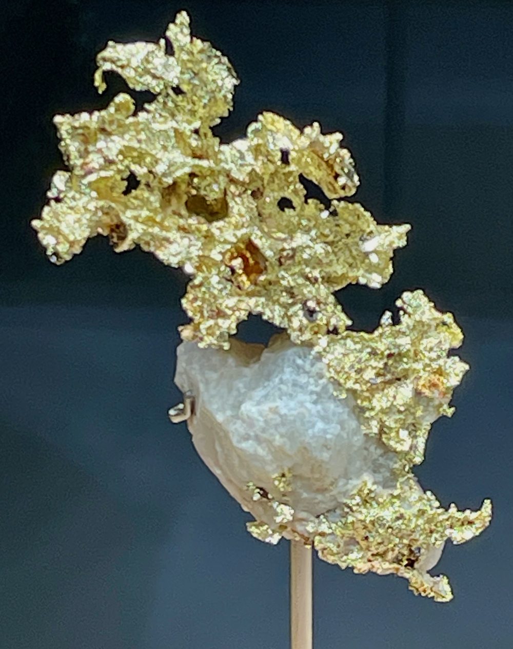 1.or-natif-dendritique-reposant-sur-sa-gangue-de-quartz - Société des ...